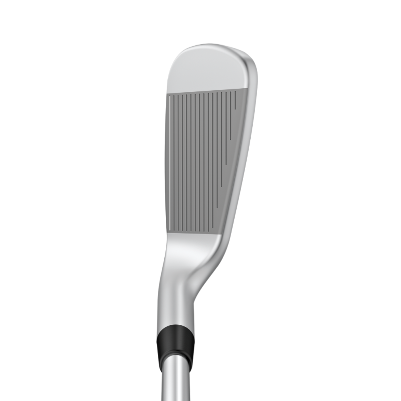 Ping ChipR Le (Custom) - Express Golf